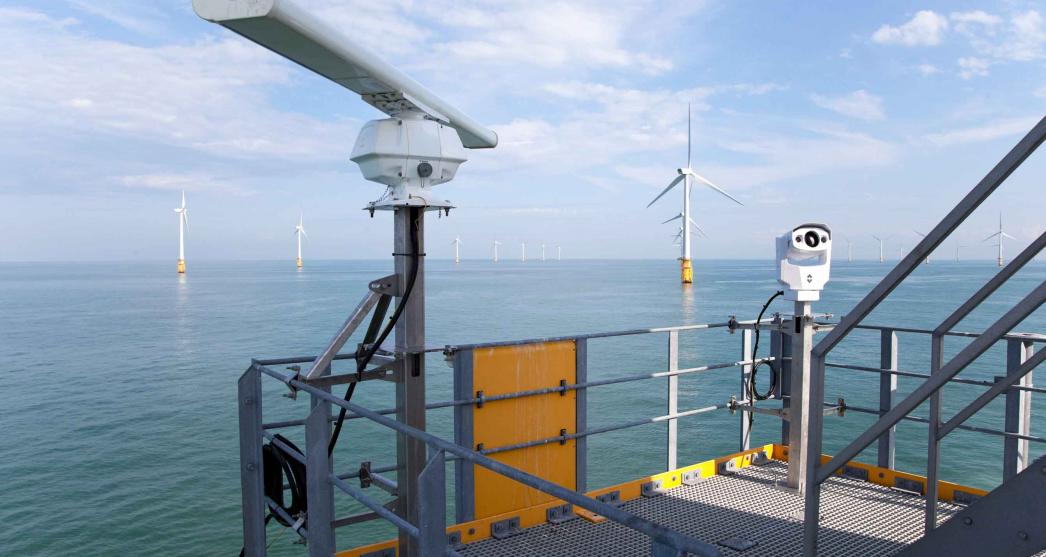 Bird collision avoidance study | The Carbon Trust