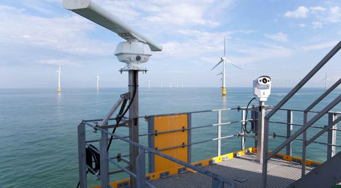 Pioneering study finds seabirds avoid offshore wind turbines much more ...